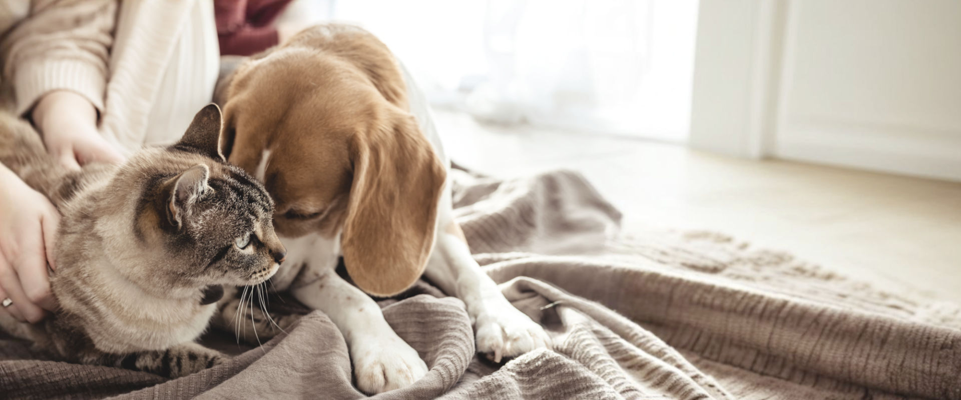 K.M.P. BIOTECH CO.,LTD. | บริษัท เค.เอ็ม.พี.ไบโอเทค จำกัด