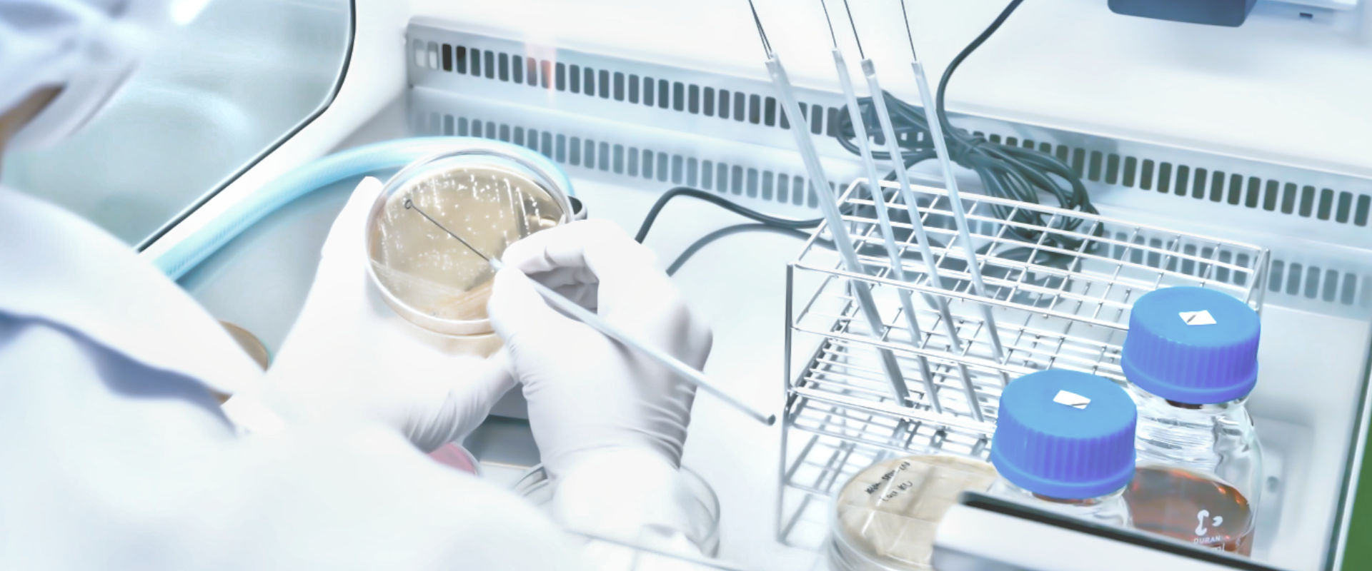 K.M.P. BIOTECH CO.,LTD. | บริษัท เค.เอ็ม.พี.ไบโอเทค จำกัด