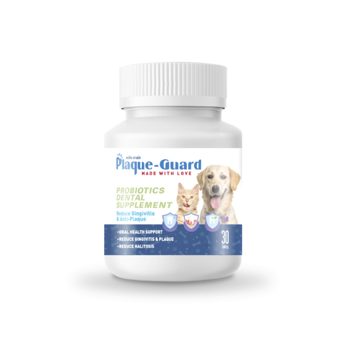 K.M.P. BIOTECH CO.,LTD. | Plaque-Guard