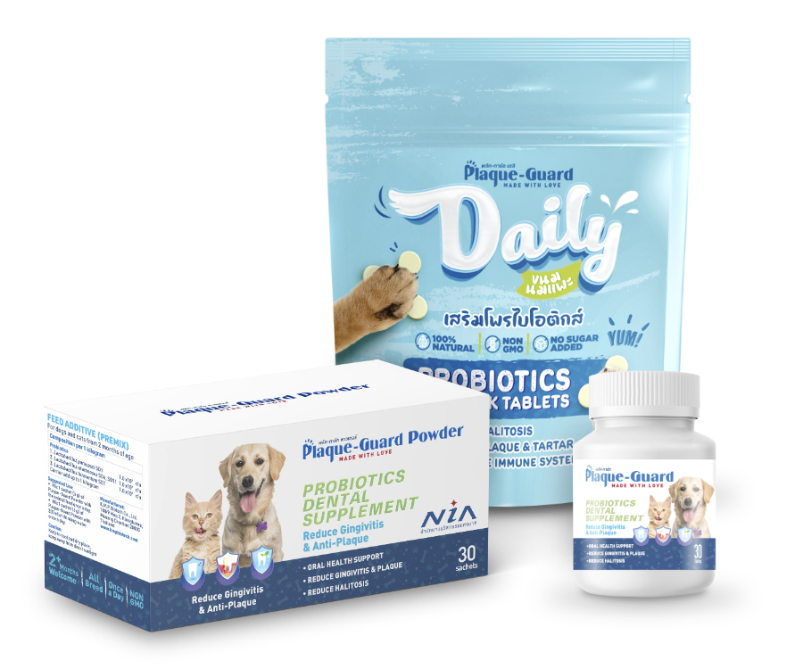 K.M.P. BIOTECH CO.,LTD. | บริษัท เค.เอ็ม.พี.ไบโอเทค จำกัด