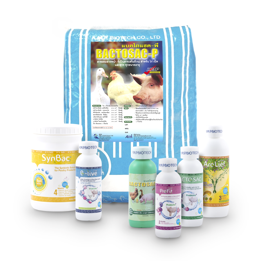 K.M.P. BIOTECH CO.,LTD. | บริษัท เค.เอ็ม.พี.ไบโอเทค จำกัด
