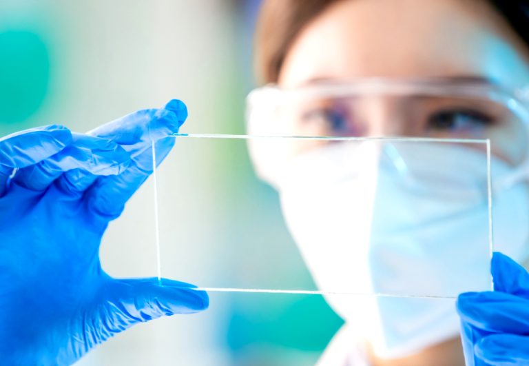 K.M.P. BIOTECH CO.,LTD. | Service-en