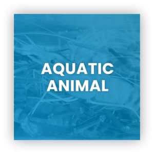 K.M.P. BIOTECH CO.,LTD. | Animal